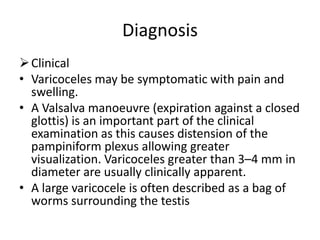 Testicular varicoceles | PPTX