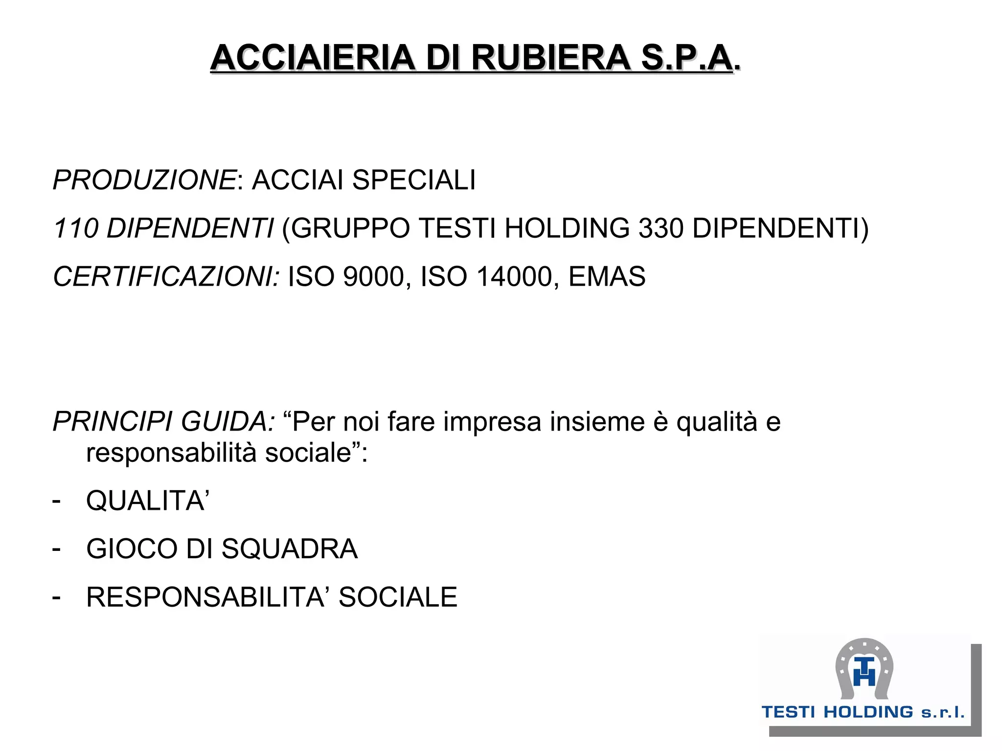 Claudio Testi - Testi Holding Srl | PPT | Business | Business and Finance