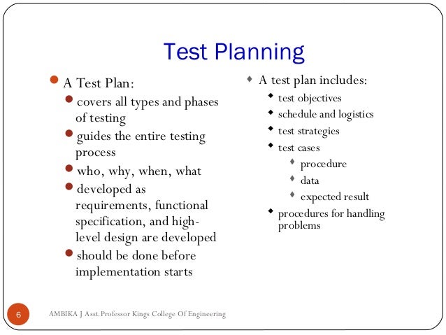 Testing Software Purpose