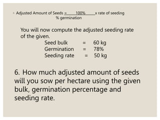 Testing the Viability of Seeds.pptx