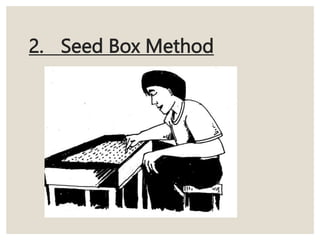 Testing the Viability of Seeds.pptx | Agriculture | Industries