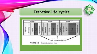 Testing throughout the software life cycle | PPT