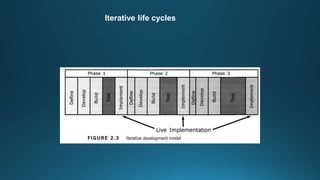 Testing throughout the software life cycle | PPT