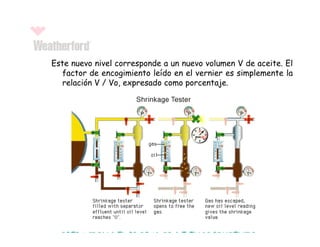 TESTING WTF2.pdf