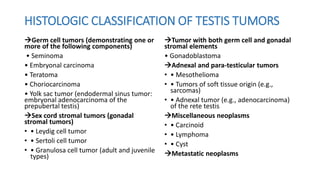 Testicular Cancer | PPTX