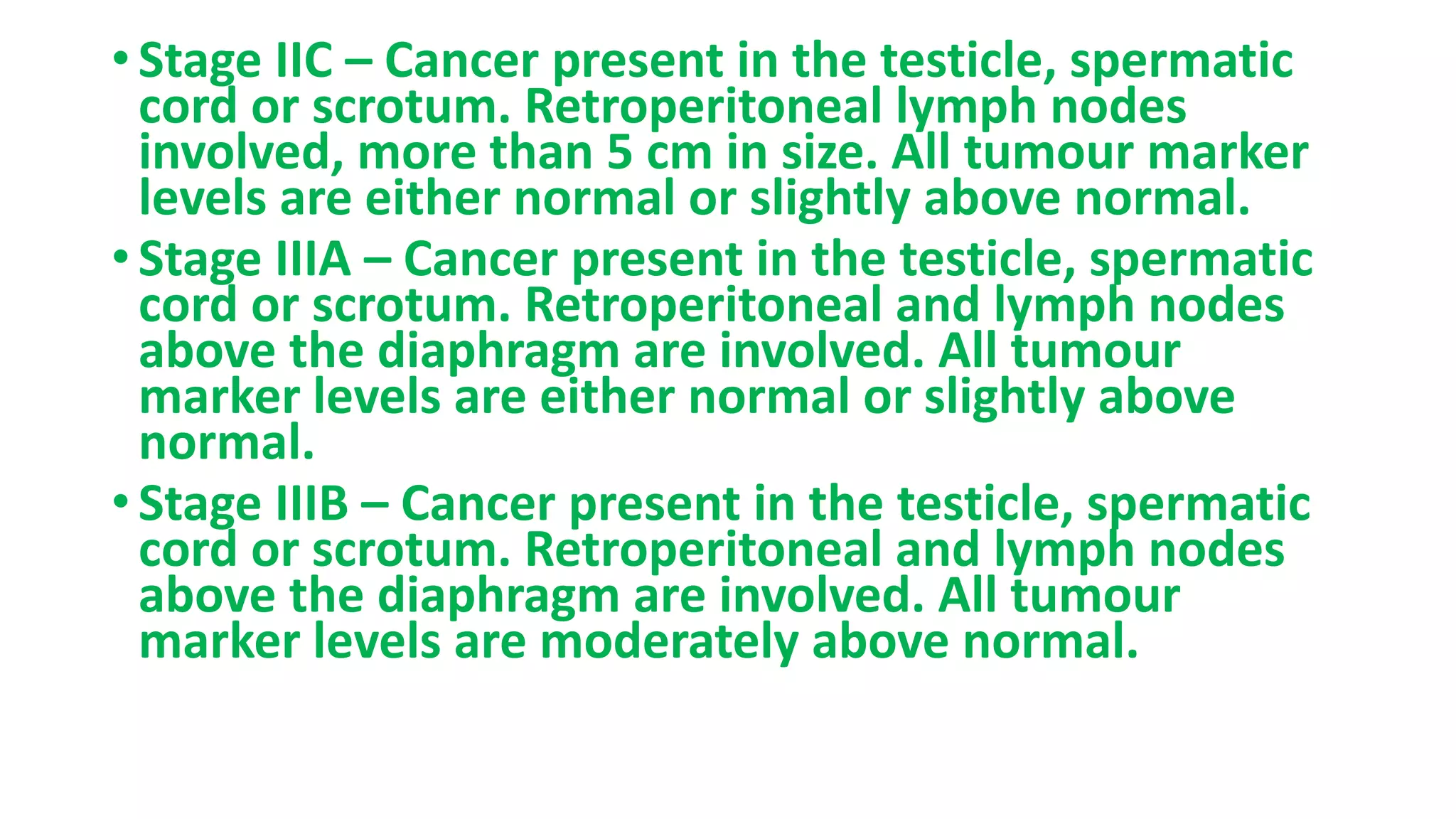 TESTIS.pptx