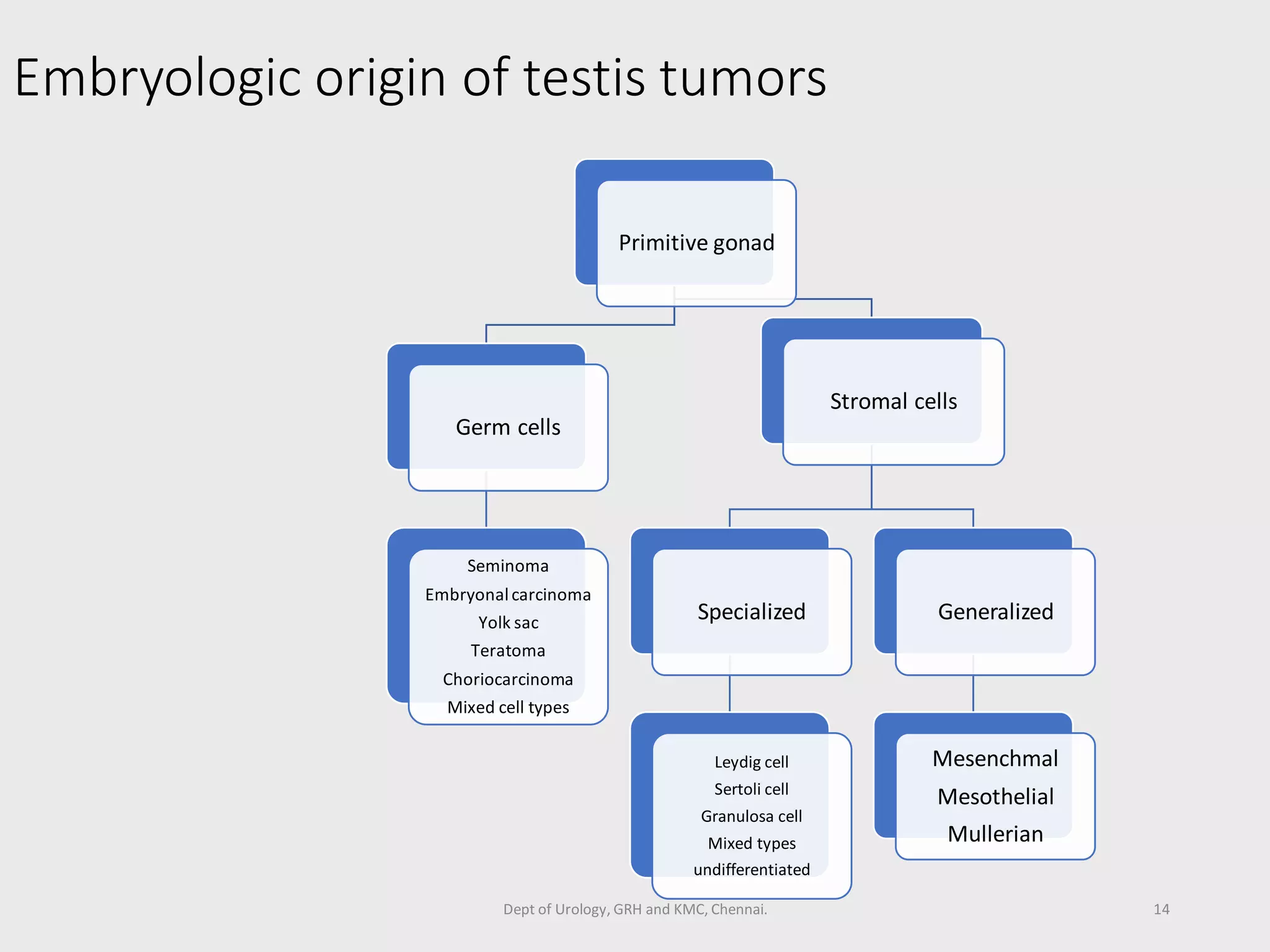 Testis carcinoma- etiopathogenesis | PDF