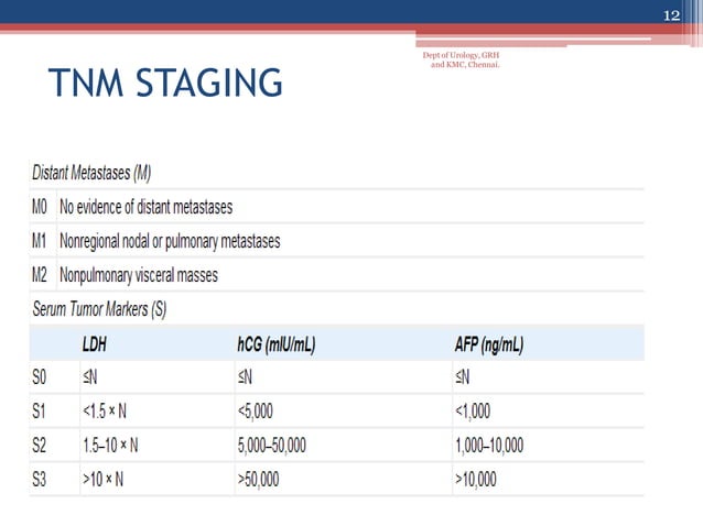 Testis carcinoma- management- lymphatic drainage and rplnd | PDF