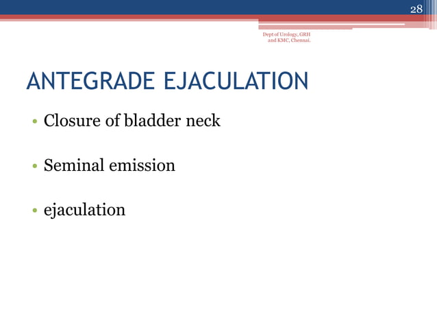 Testis carcinoma- management- lymphatic drainage and rplnd | PDF