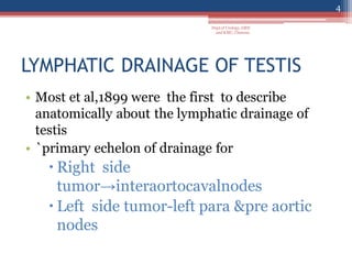 Testis carcinoma- management- lymphatic drainage and rplnd | PDF
