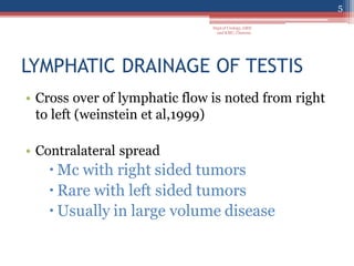 Testis carcinoma- management- lymphatic drainage and rplnd | PDF