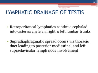 Testis carcinoma- management- lymphatic drainage and rplnd | PDF