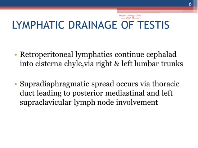 Testis carcinoma- management- lymphatic drainage and rplnd | PDF