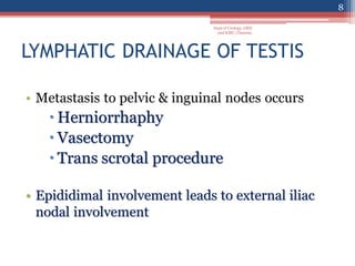 Testis carcinoma- management- lymphatic drainage and rplnd | PDF