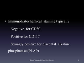 Testis carcinoma- pathology | PDF