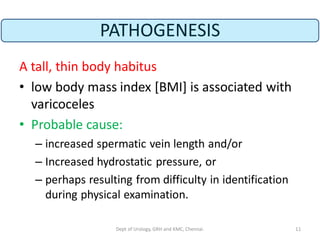 Testis varicocele | PDF