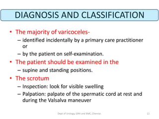 Testis varicocele | PDF