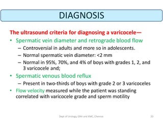 Testis varicocele | PDF