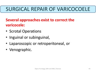 Testis varicocele | PDF