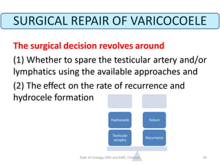 Testis varicocele | PDF