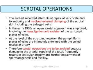 Testis varicocele | PDF