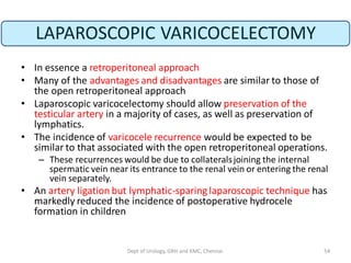 Testis varicocele | PDF