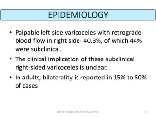 Testis varicocele | PDF