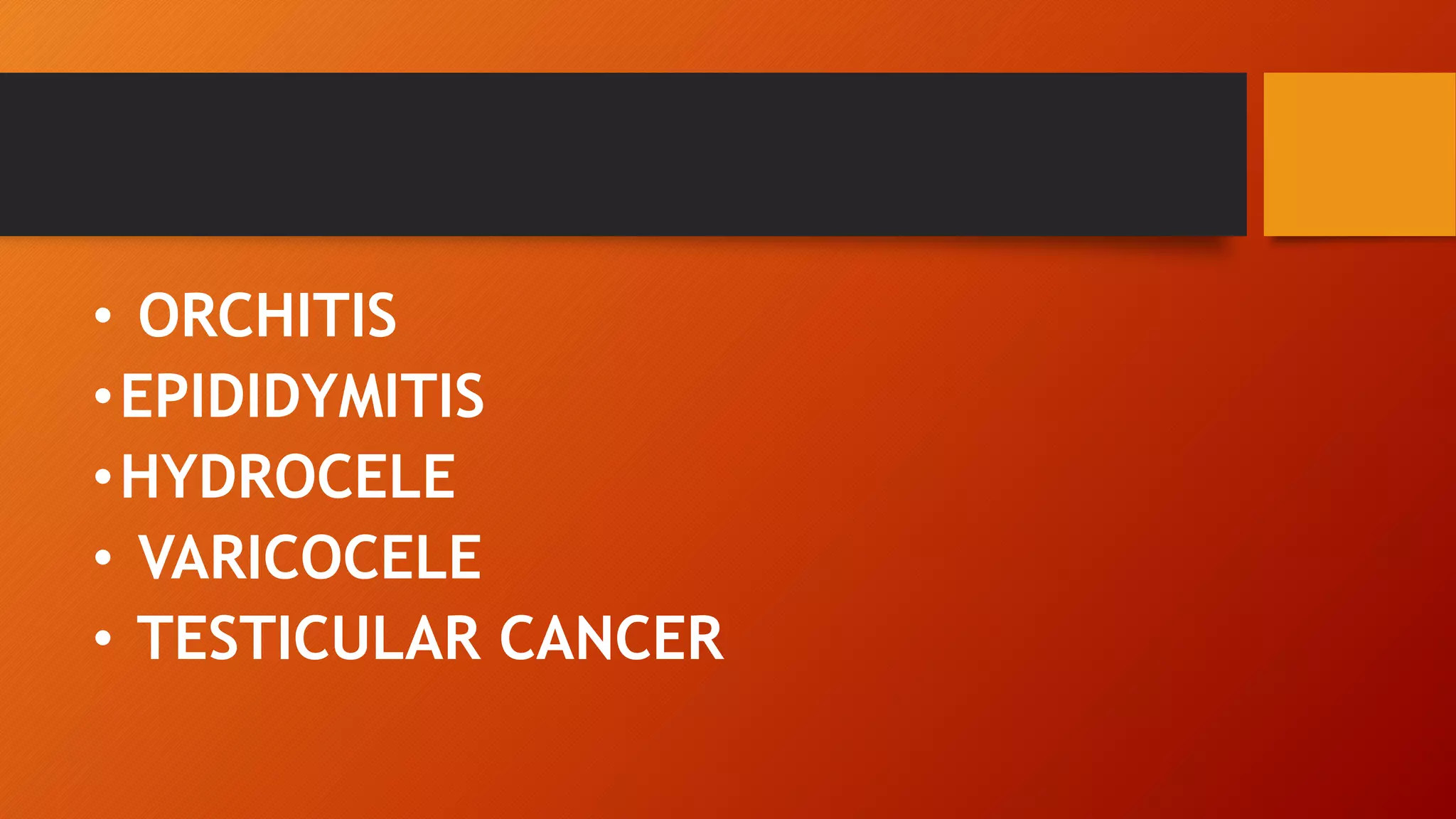 Testis and adjustnt structure | PPTX