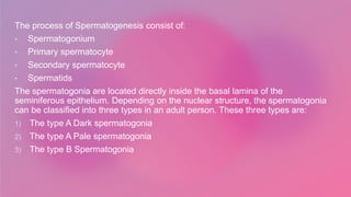 Testis and duct system.pptx