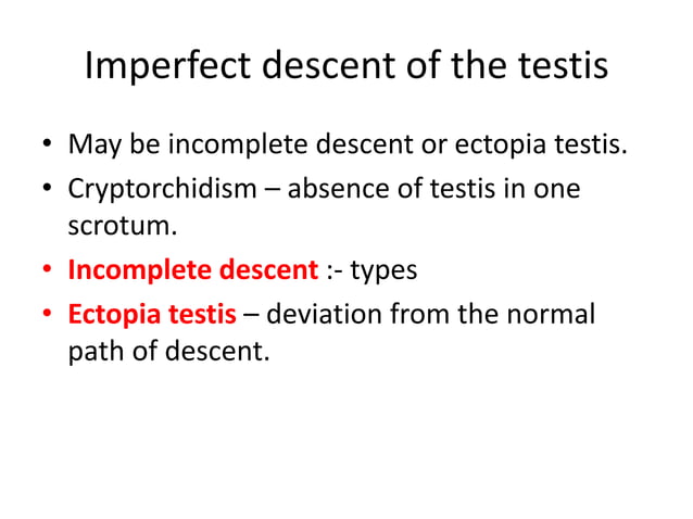 Testis & spermatic cord | PPTX