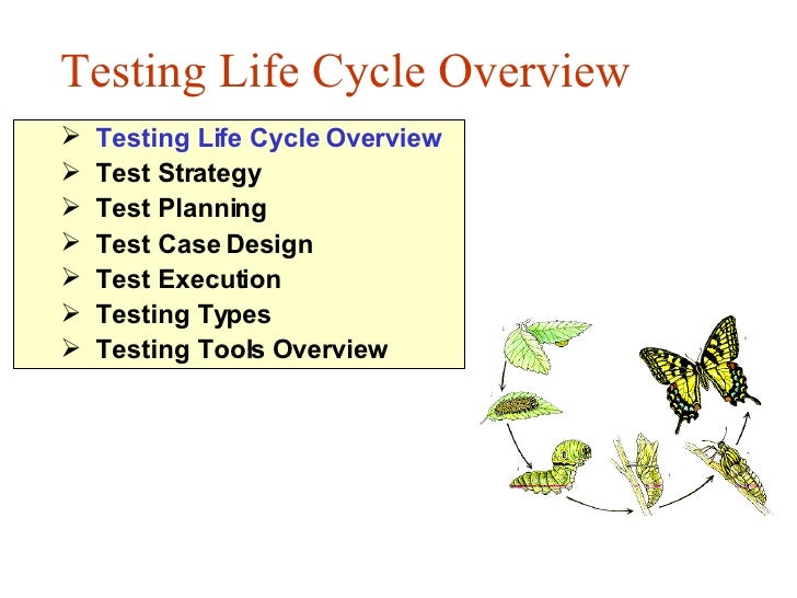 Test Life Cycle