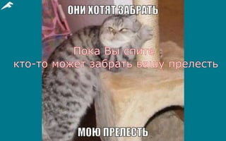 Test management in scrum | PPT