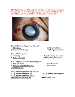 Test mat | PDF