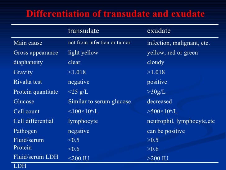 Proteinaceous Exudate