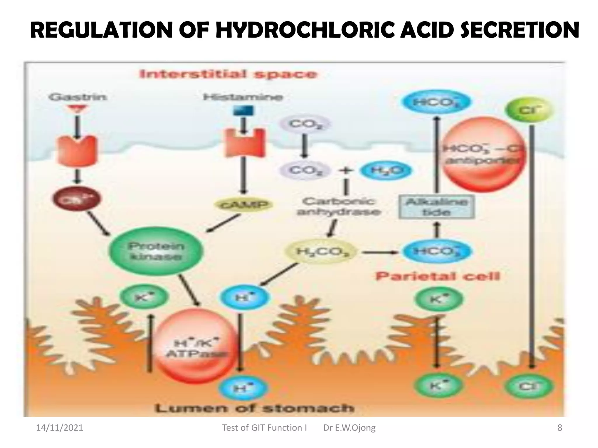 Test of GIT Function I.pdf