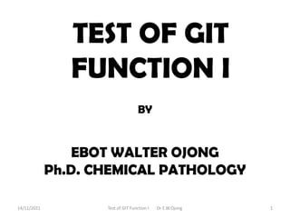 Test of GIT Function I.pdf