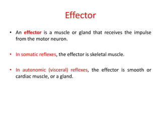 Test of human reaction capacity | PPT