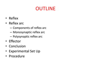 Test of human reaction capacity | PPT