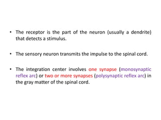Test of human reaction capacity | PPT