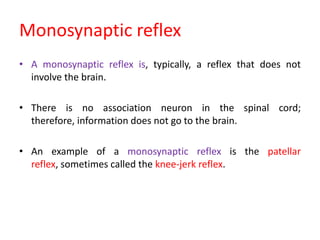 Test of human reaction capacity | PPT