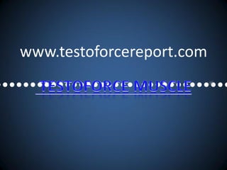 Testo force muscle | PPT