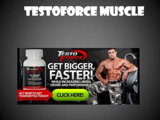 Testo force muscle | PPT