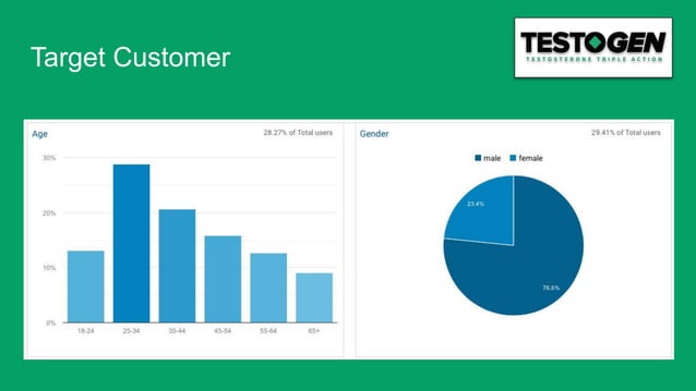 Testo gen brand promotional guide | PPT