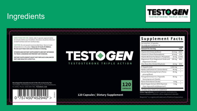 Testo gen brand promotional guide | PPT