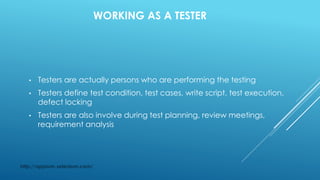 Test organization | PPTX