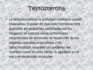 Testosterona | PPTX