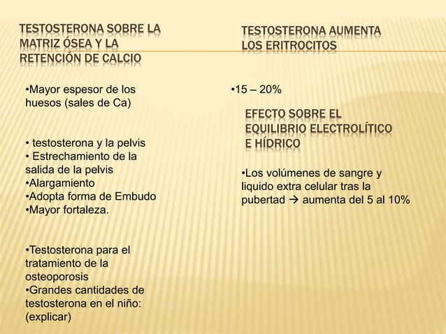 Testosterona | PPTX | Endocrine and Metabolic Diseases | Diseases and ...