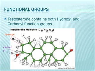 Testosterone | PPT | Hormonal Disorders | Endocrine and Metabolic Diseases