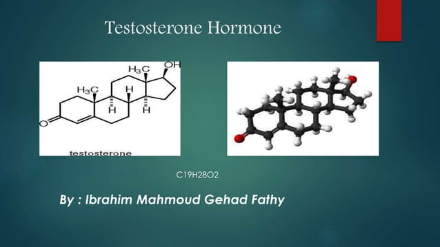 Testosterone | PPTX | Endocrine and Metabolic Diseases | Diseases and ...