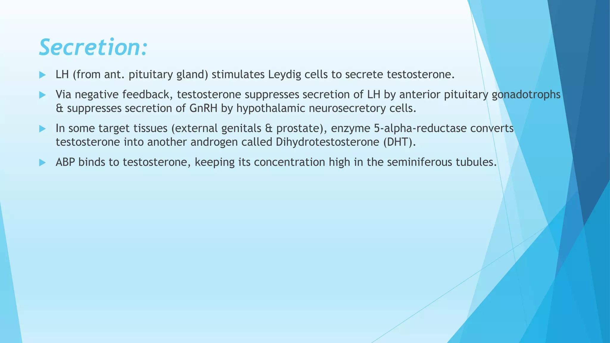 Testosterone-Primary male androgen hormone synthesis | PPTX